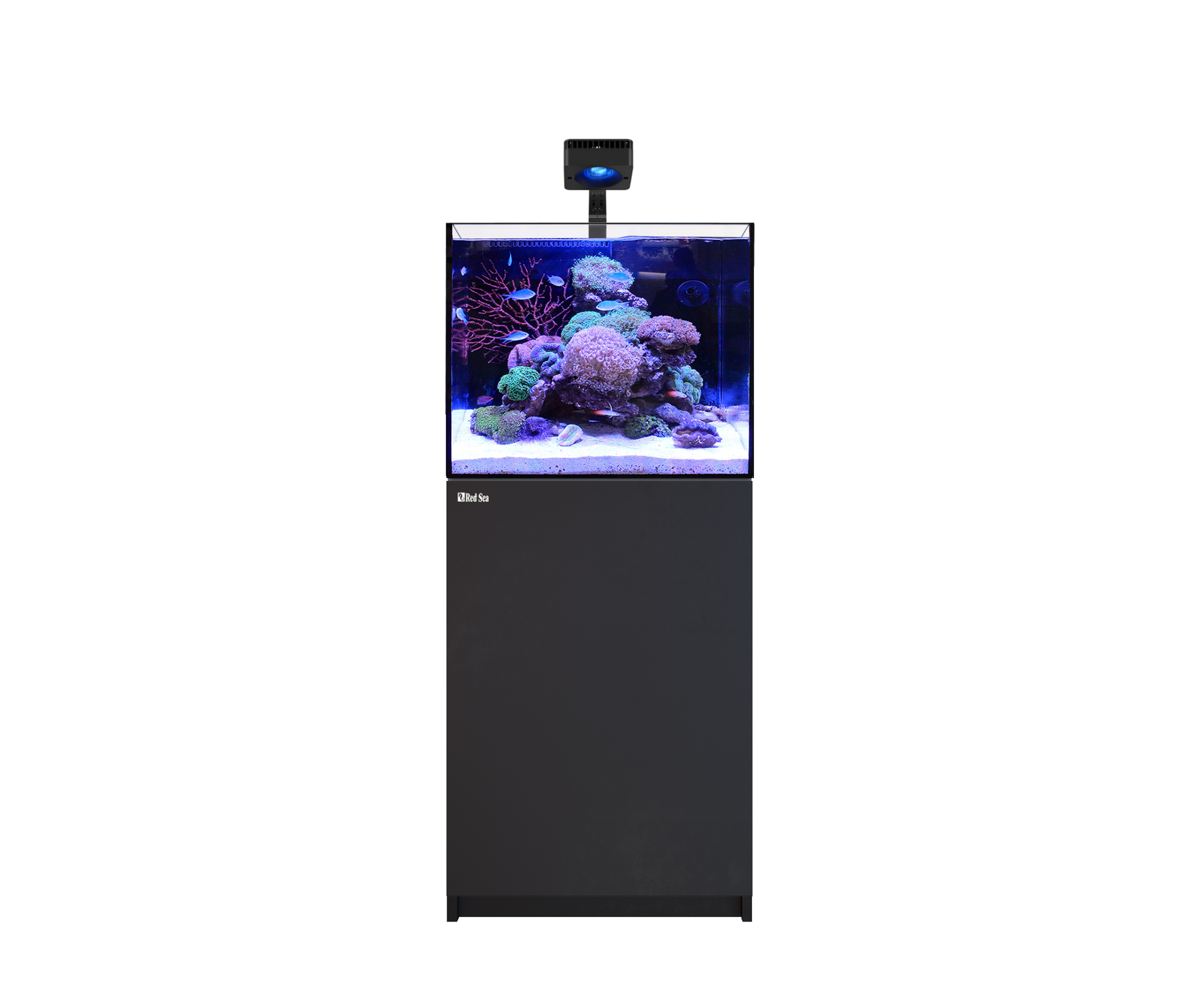 Red Sea Reefer Reefer 170 Deluxe Complete System - Black170 kaufen